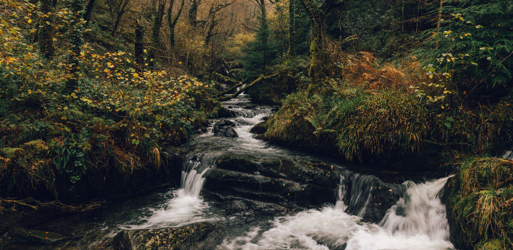 Natural Resources Wales / SoNaRR 2025 Aim 1: Stocks of natural ...