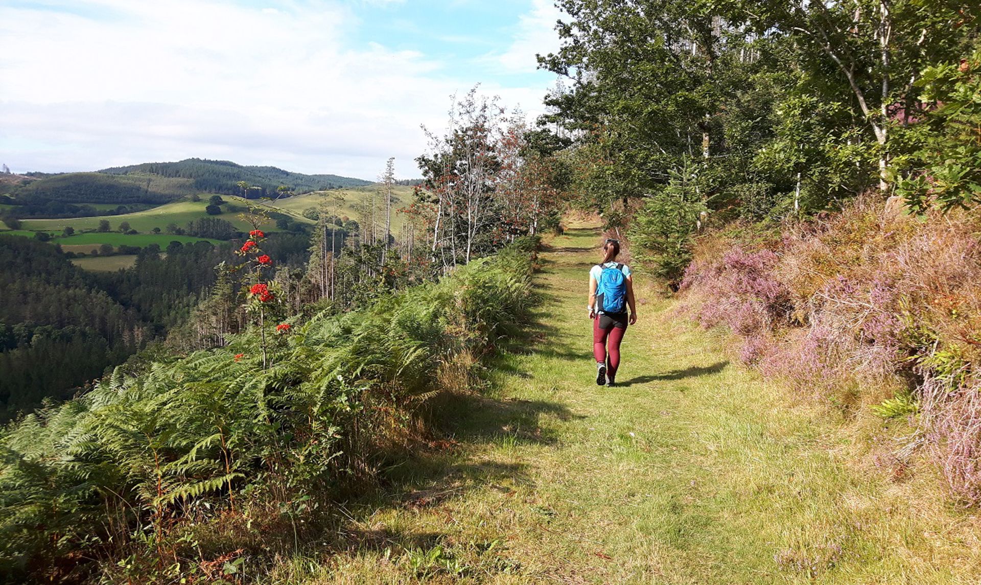 Natural Resources Wales / Dyfi National Nature Reserve - Cors Fochno ...