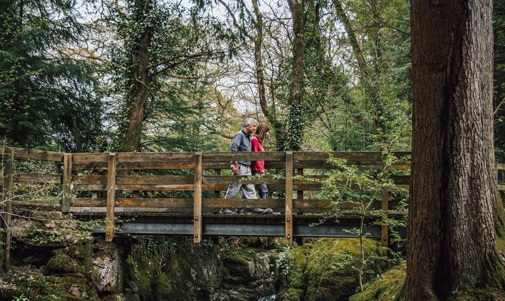 Natural Resources Wales / Gwydir Forest Park - Llyn Geirionydd, near ...