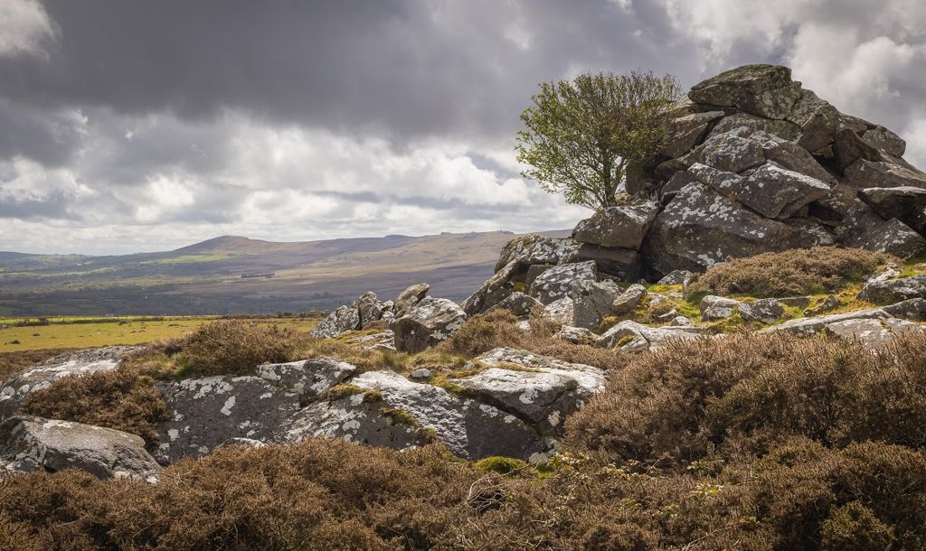 Natural Resources Wales / Caio Forest, near Llandovery