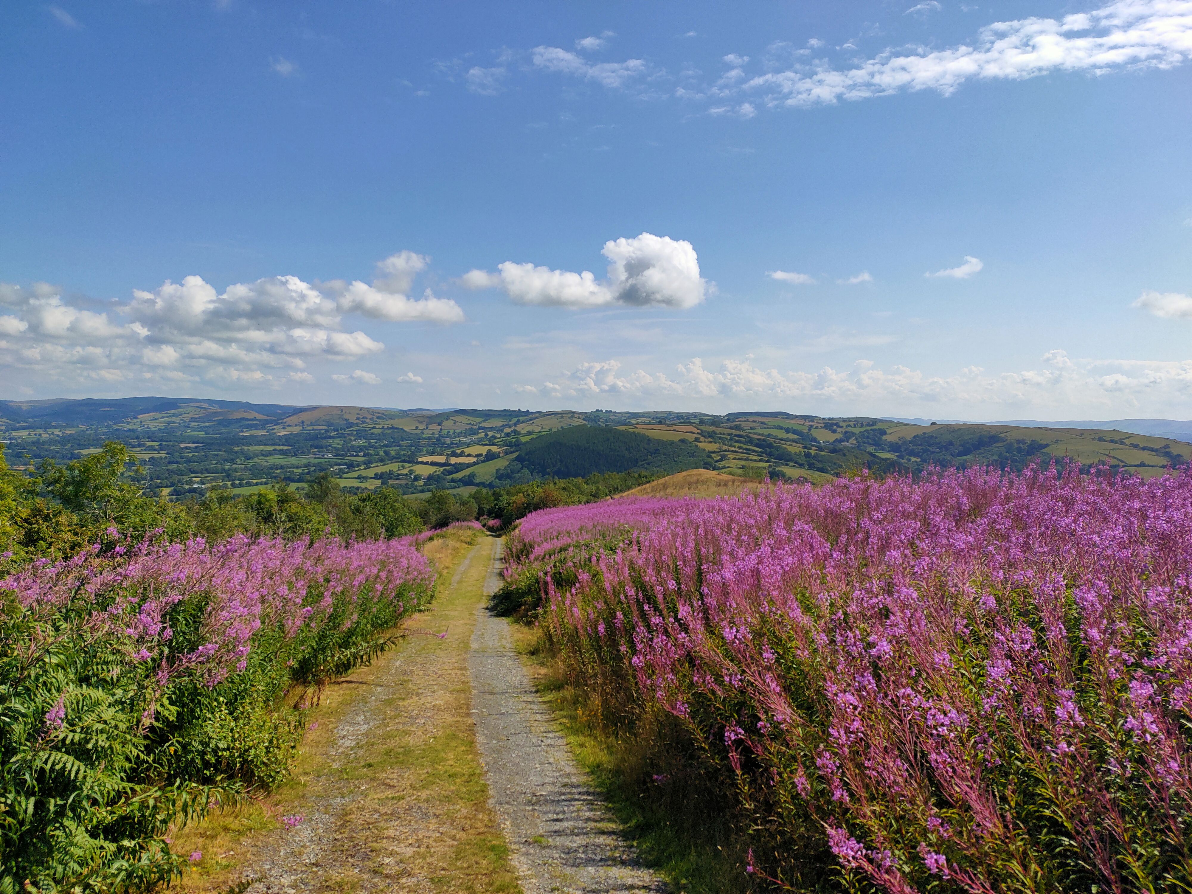 Cyfoeth Naturiol Cymru - Dewis Iaith / Natural Resources Wales ...