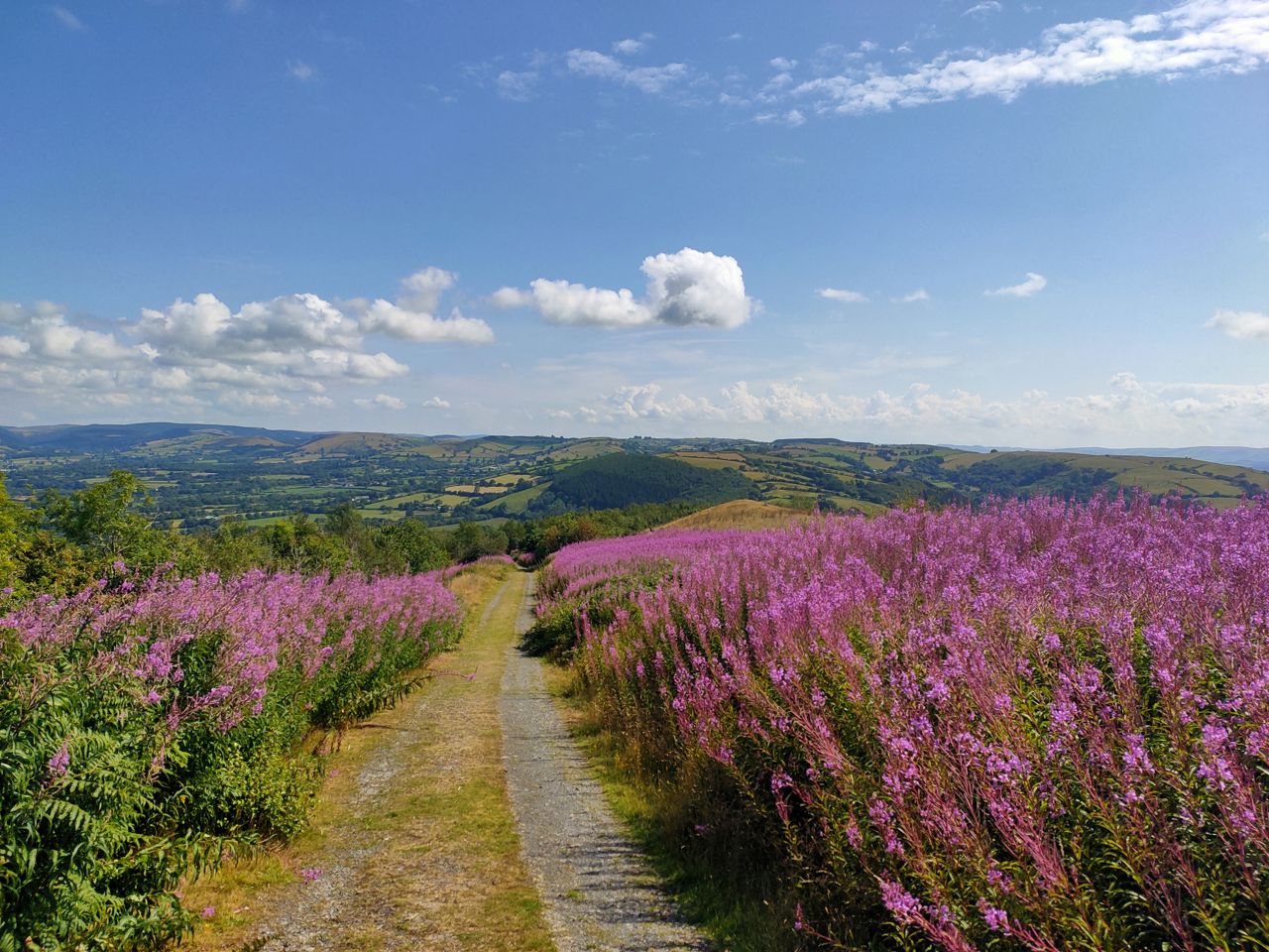 Cyfoeth Naturiol Cymru - Dewis Iaith / Natural Resources Wales ...
