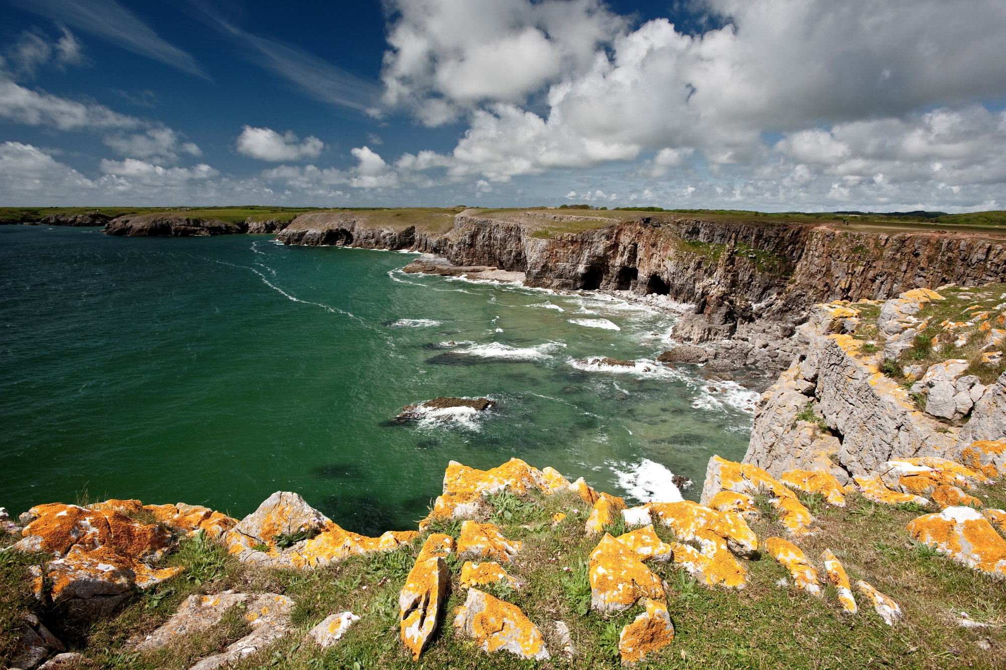 Natural Resources Wales / Stackpole National Nature Reserve, near Pembroke