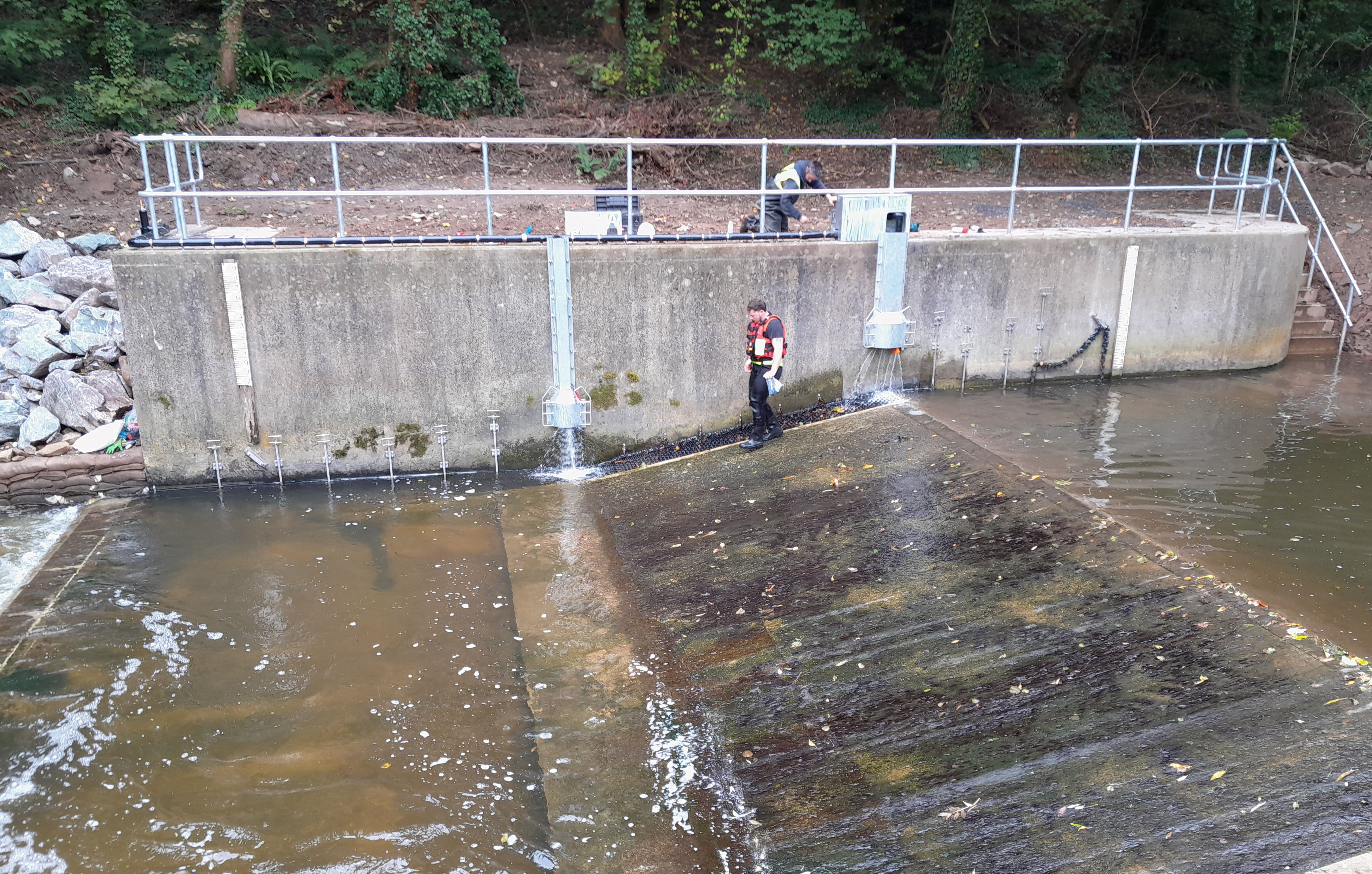 Natural Resources Wales / Eel-ated reaction to new passage in Wrexham