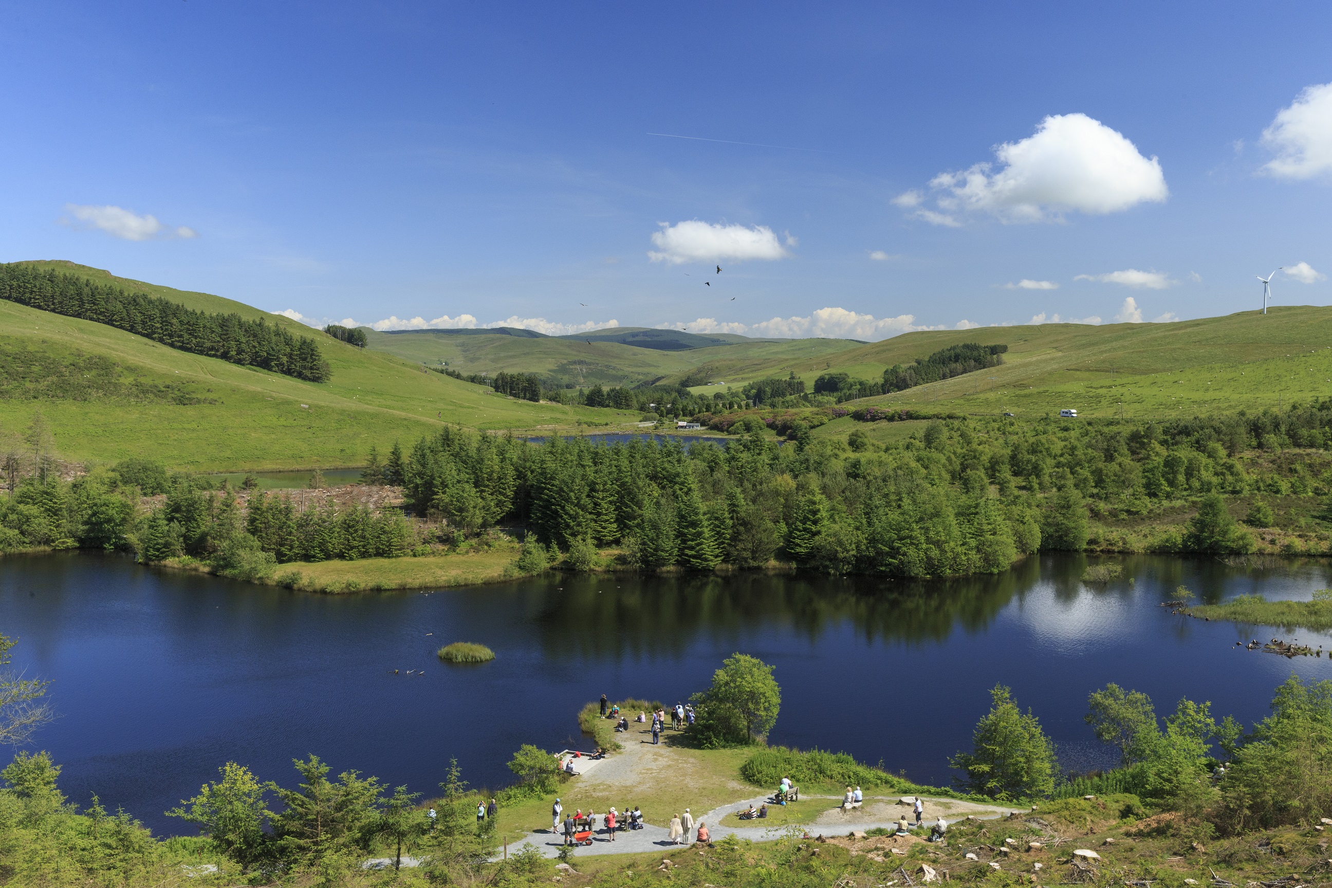 Natural Resources Wales / Tywi Forest, near Tregaron