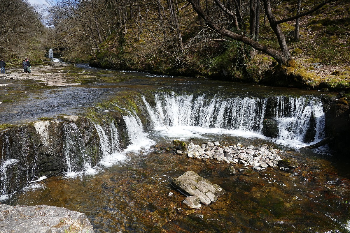 Natural Resources Wales / Fforest Fawr, near Caerphilly