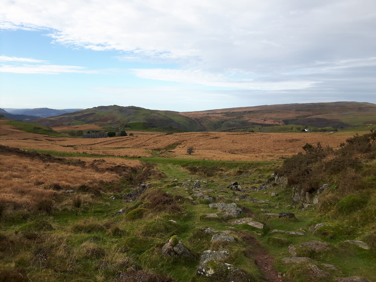 Natural Resources Wales / Spirit of Llynfi Woodland, near Bridgend