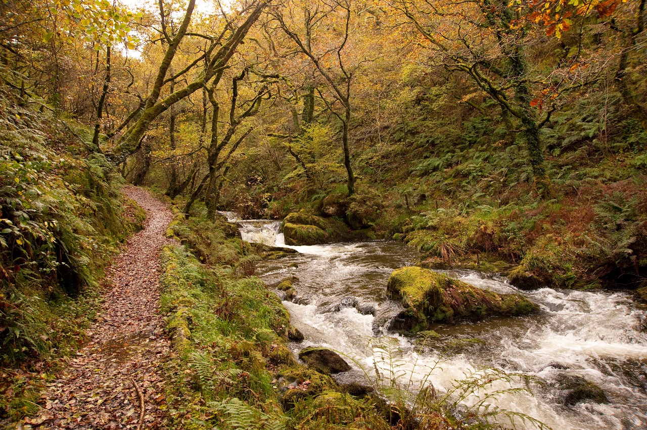 Natural Resources Wales / Newborough National Nature Reserve and Forest ...