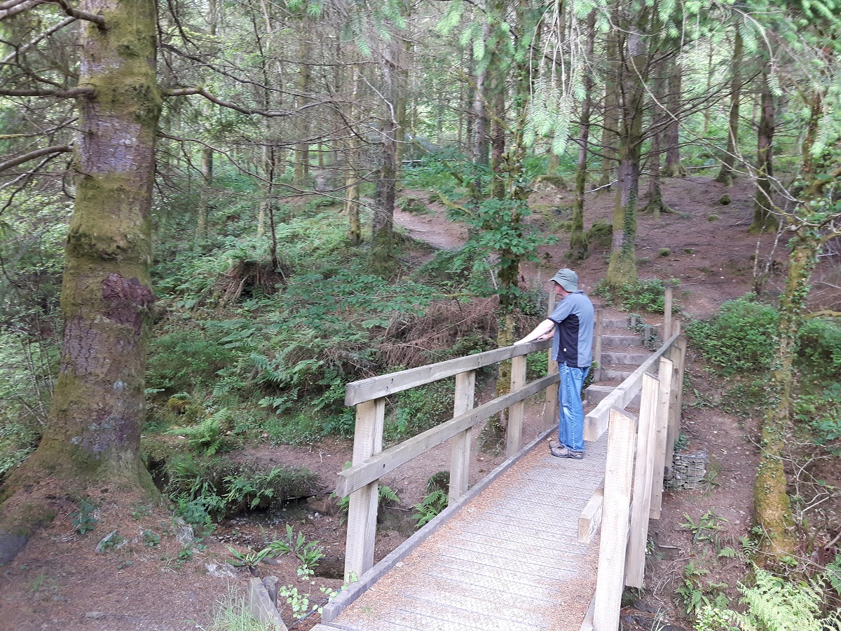 Natural Resources Wales / Brechfa Forest – Abergorlech, near Carmarthen