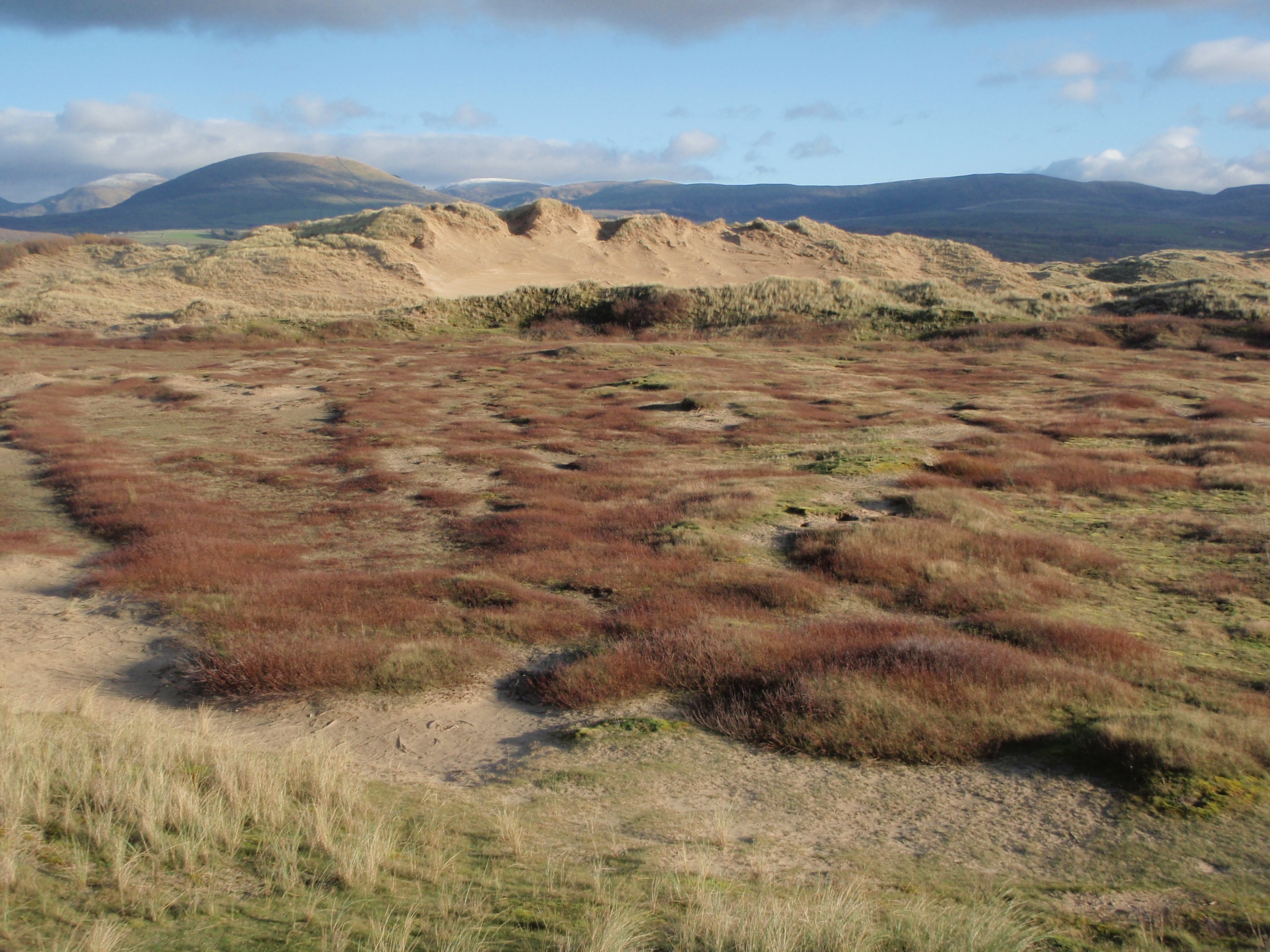 Natural Resources Wales / Rejuvenating our sand dunes