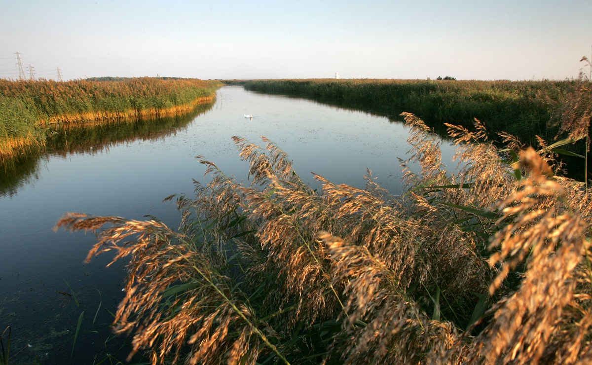 Natural Resources Wales / Newport Wetlands National Nature Reserve