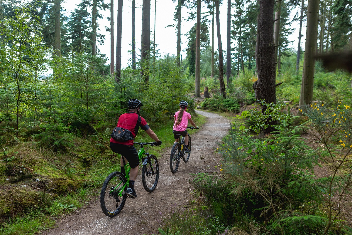 Natural Resources Wales / Dyfnant Forest - Pont Llogel Wood, near Welshpool