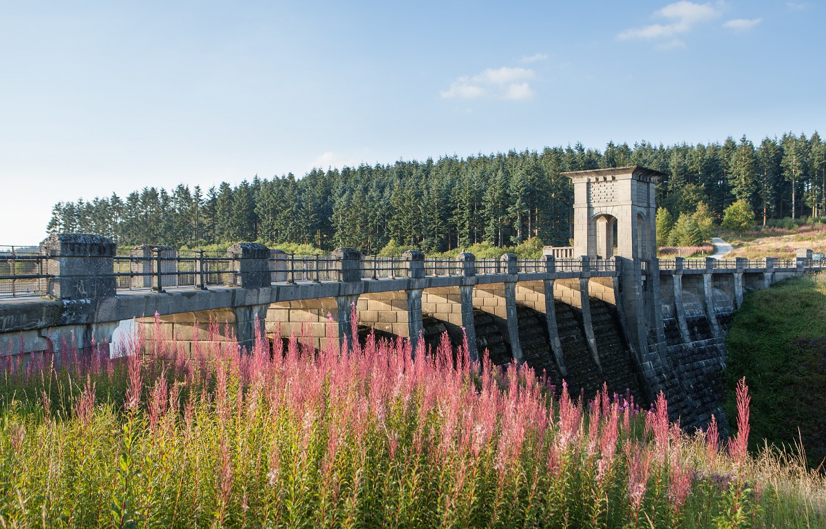 Natural Resources Wales / Alwen Reservoir, near Denbigh