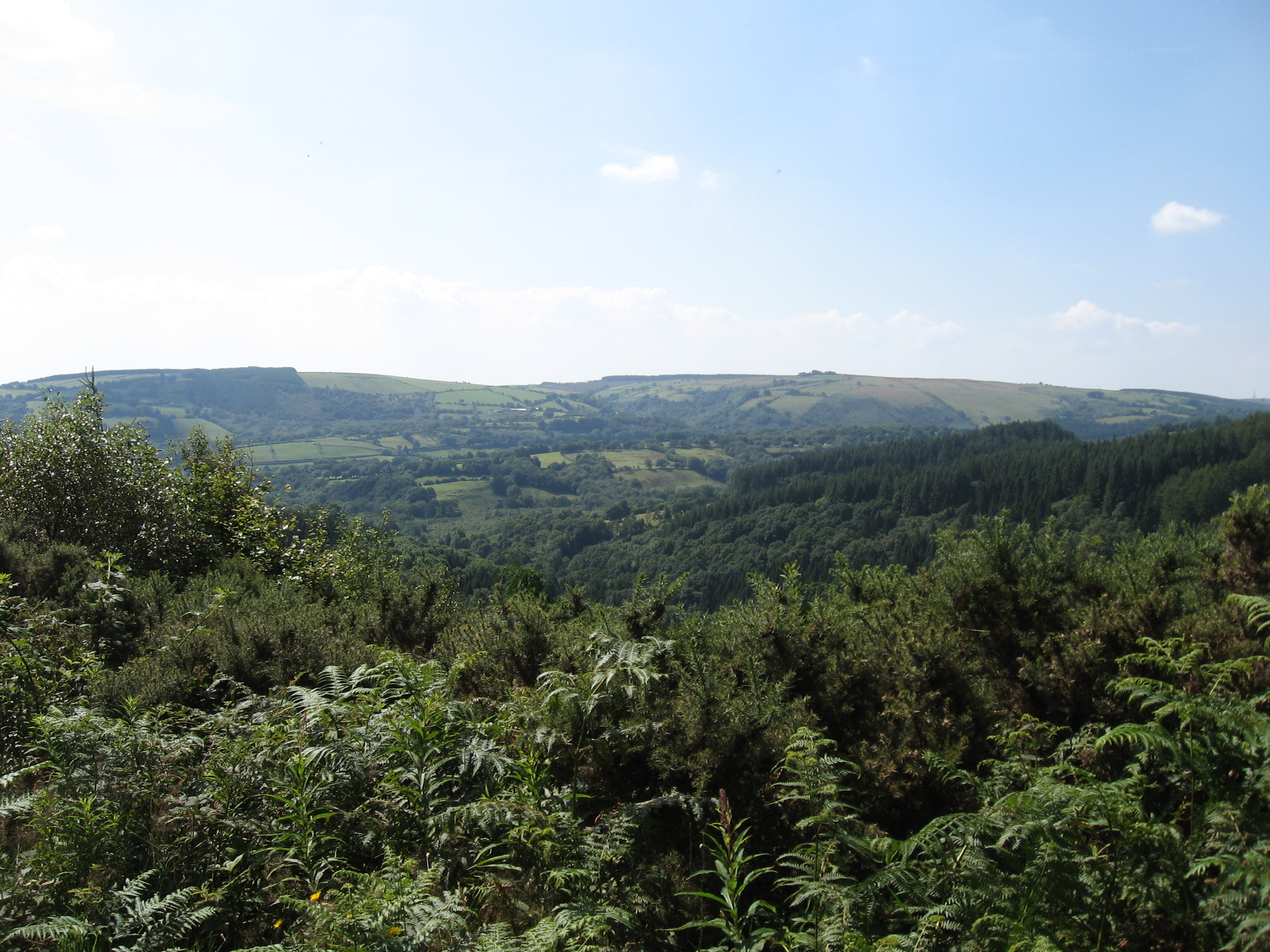 Natural Resources Wales / Brechfa Forest – Abergorlech, near Carmarthen