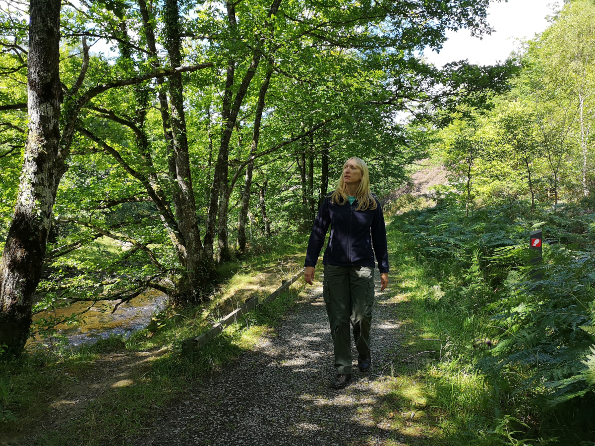 Natural Resources Wales / Bwlch Nant yr Arian Visitor Centre, near ...