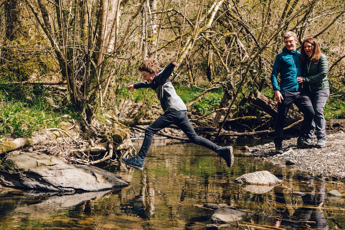 Natural Resources Wales / Clocaenog Forest - Coed y Fron Wyllt, near Ruthin
