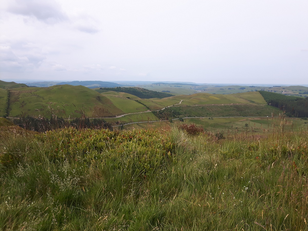 Natural Resources Wales / Cors Caron National Nature Reserve, near Tregaron