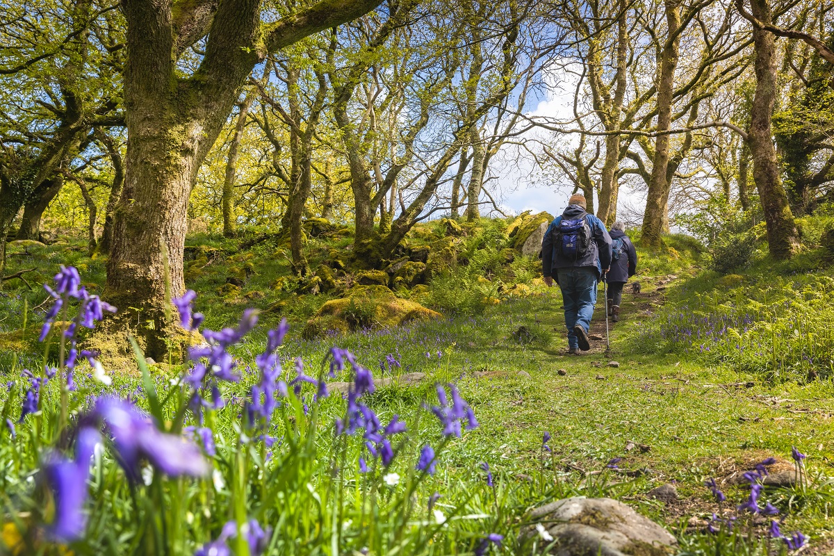 Natural Resources Wales / Days out