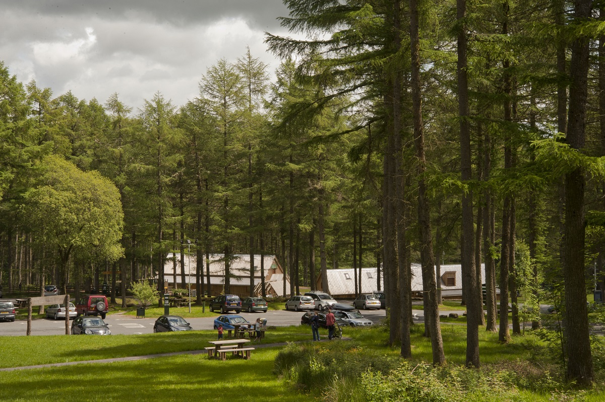 Natural Resources Wales / South East Wales