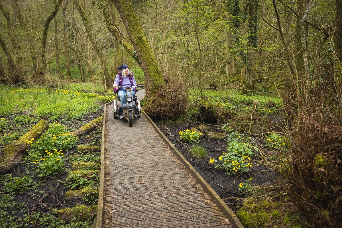 Natural Resources Wales / Coed y Cerrig National Nature Reserve, near ...