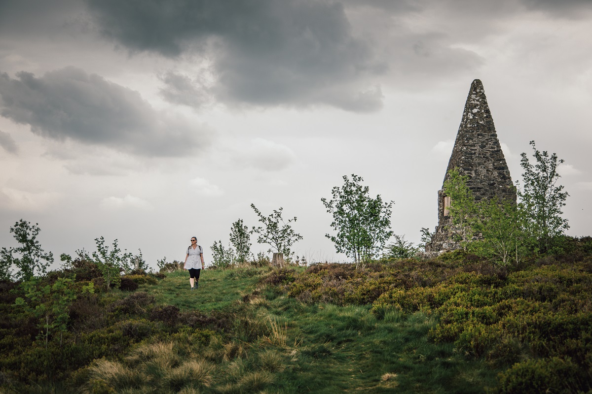 Natural Resources Wales / Dyfnant Forest - Pont Llogel Wood, near Welshpool