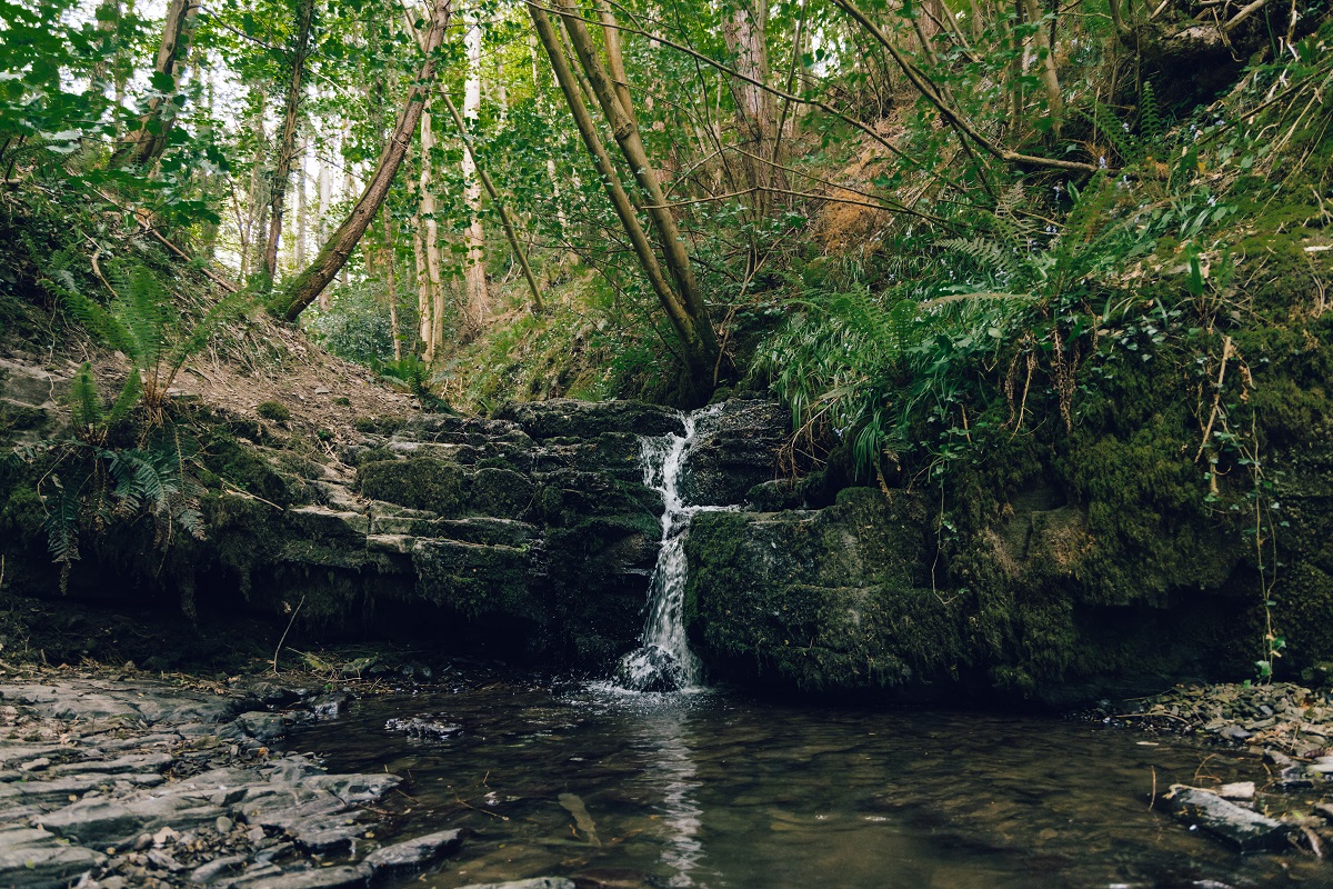 Natural Resources Wales / Clocaenog Forest - Rhyd y Gaseg, near Ruthin