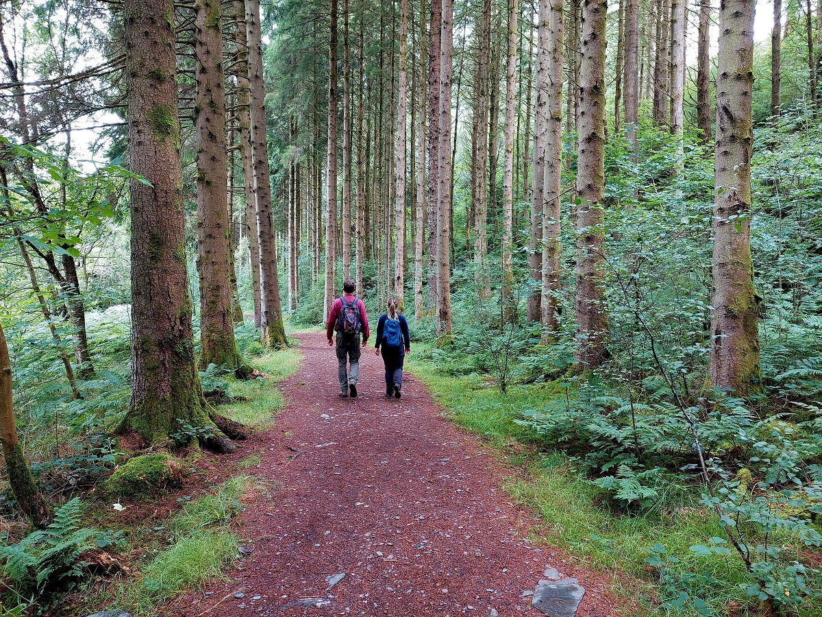 Natural Resources Wales / Hafren Forest, near Llanidloes