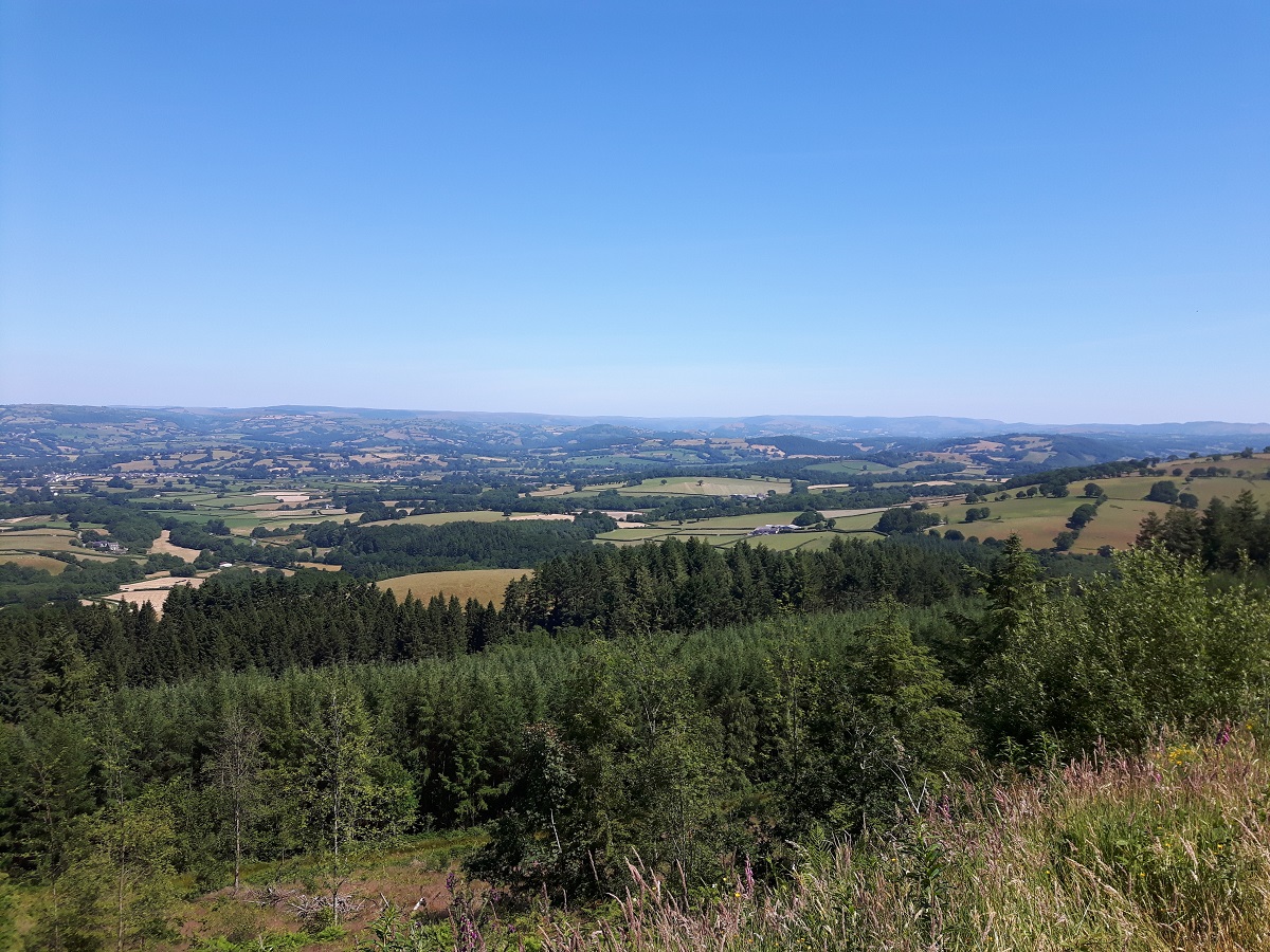 Natural Resources Wales / Afan Forest Park – Glyncorrwg Mountain Bike ...
