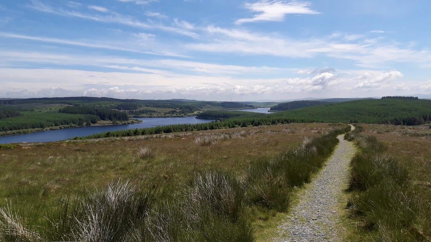 Natural Resources Wales / Offer your views on the future management of Alwen Forest
