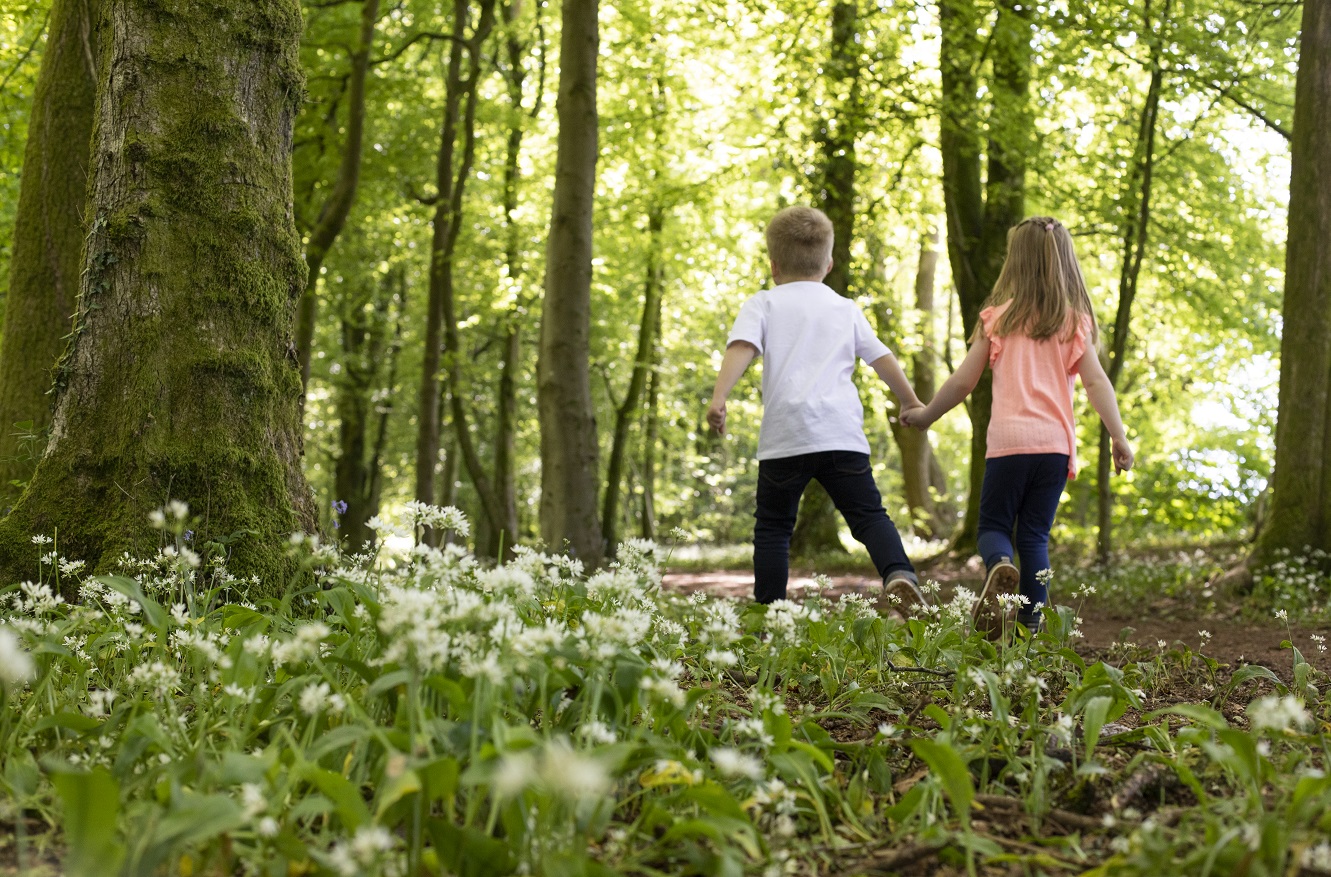 Natural Resources Wales / UK’s nature bodies sound urgent call to ...