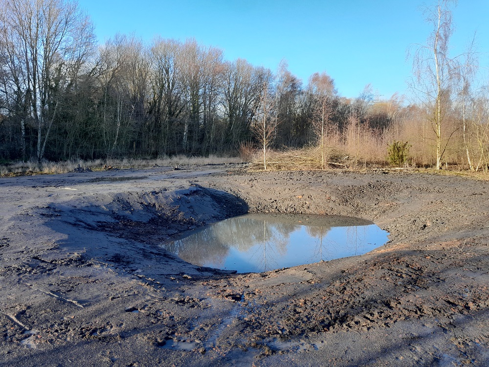 Natural Resources Wales / Pond restoration work completed to boost ...