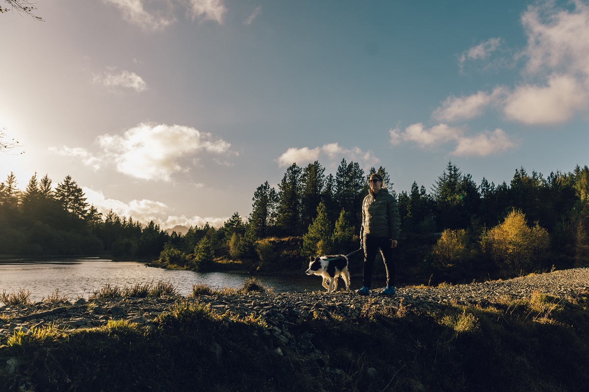 Natural Resources Wales / Gwydir Forest Park - Llyn Geirionydd, near ...