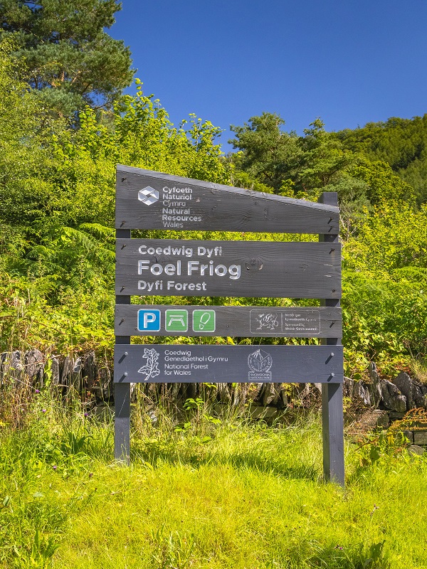 Natural Resources Wales / Days out