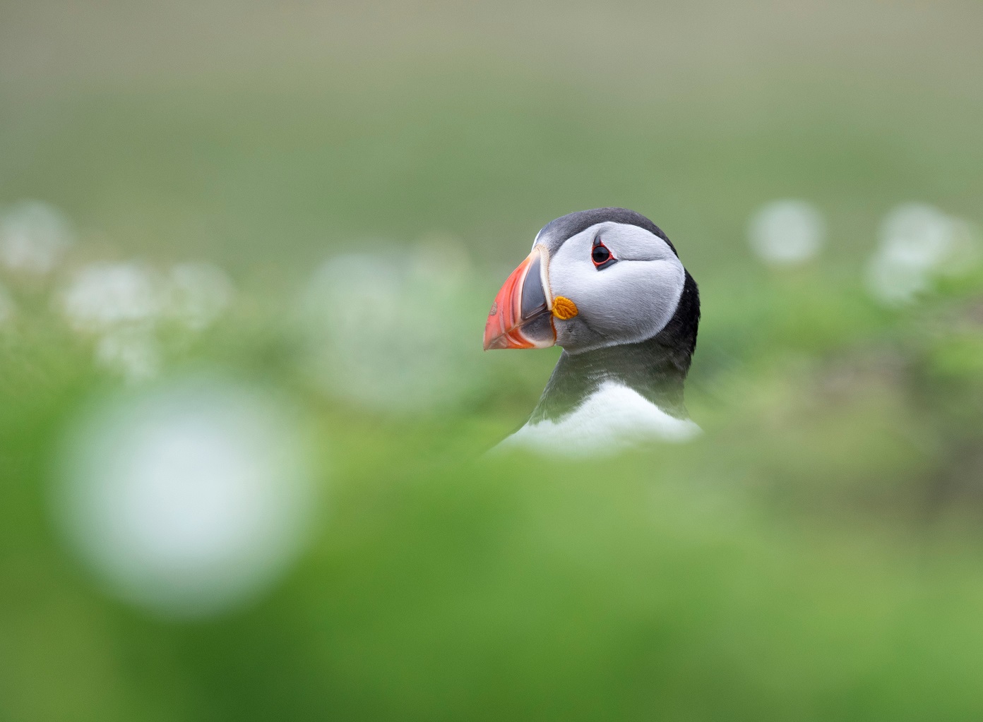 Natural Resources Wales / Biodiversity - From Agreement to Action