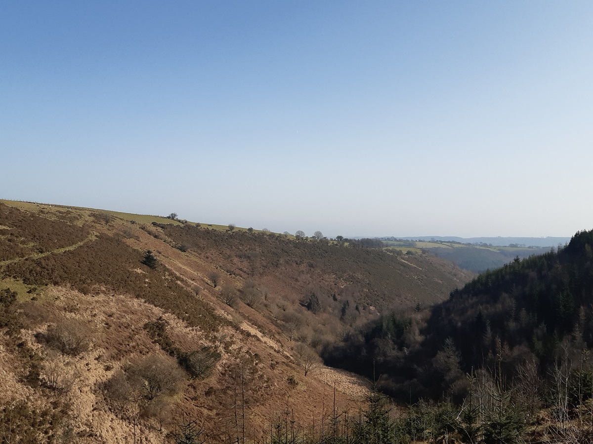 Natural Resources Wales / Brechfa Forest – Tower, near Carmarthen