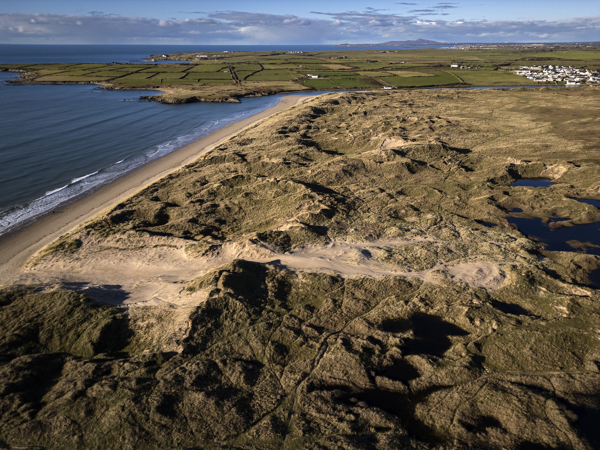 Cyfoeth Naturiol Cymru / Prosiect pum mlynedd yn helpu i ddiogelu ...