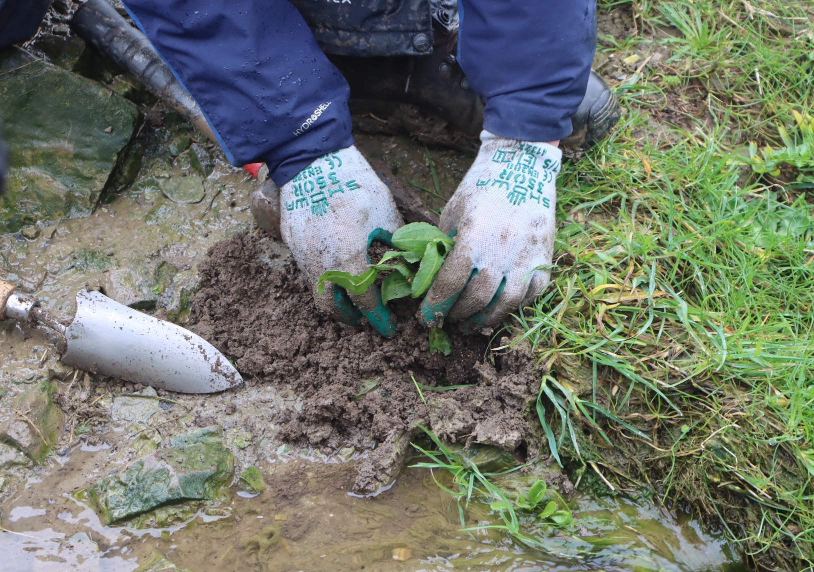 Natural Resources Wales / South Central celebrates Wales Nature Week 2024
