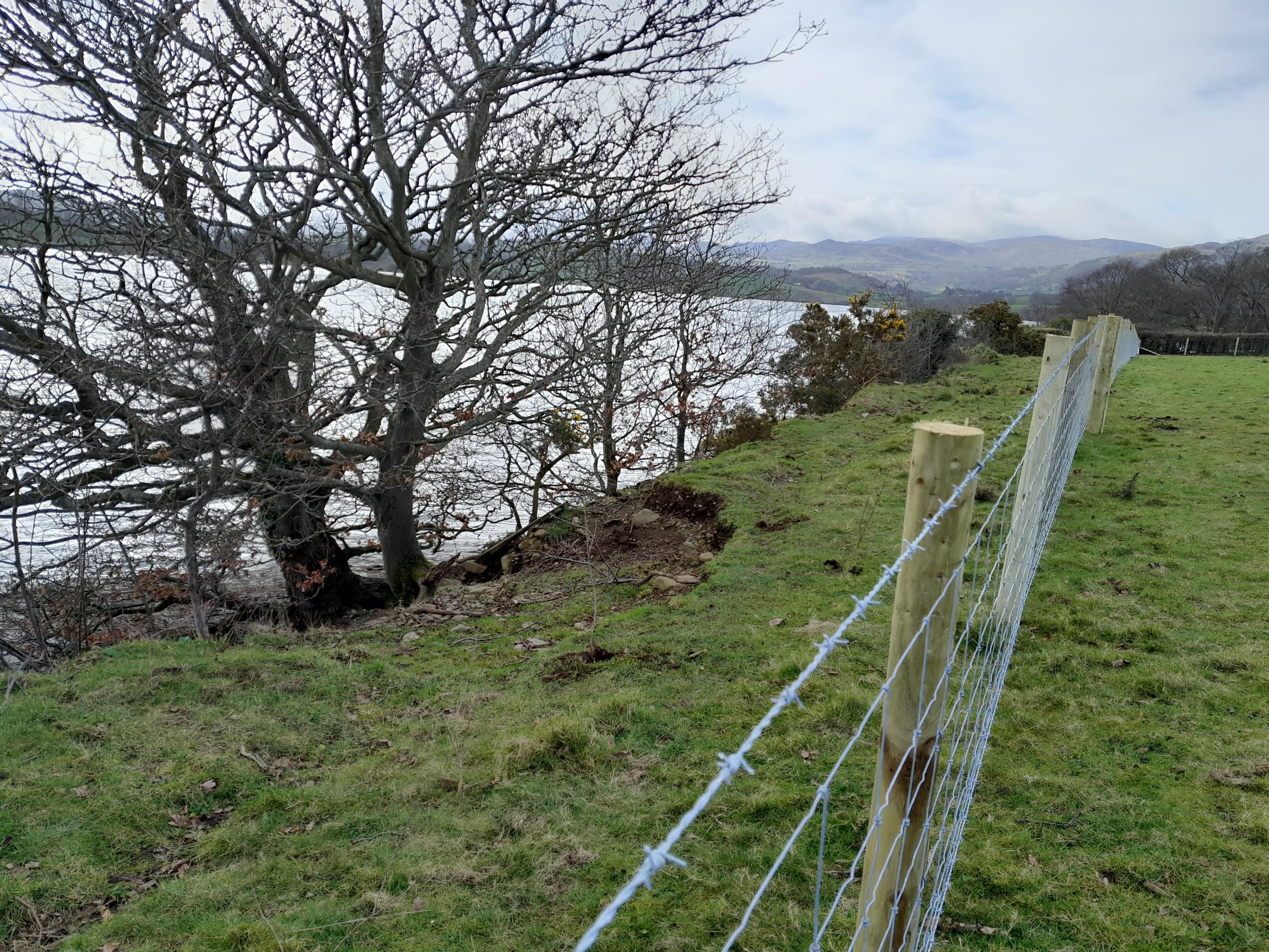 Natural Resources Wales / Fencing will provide benefits in river catchment