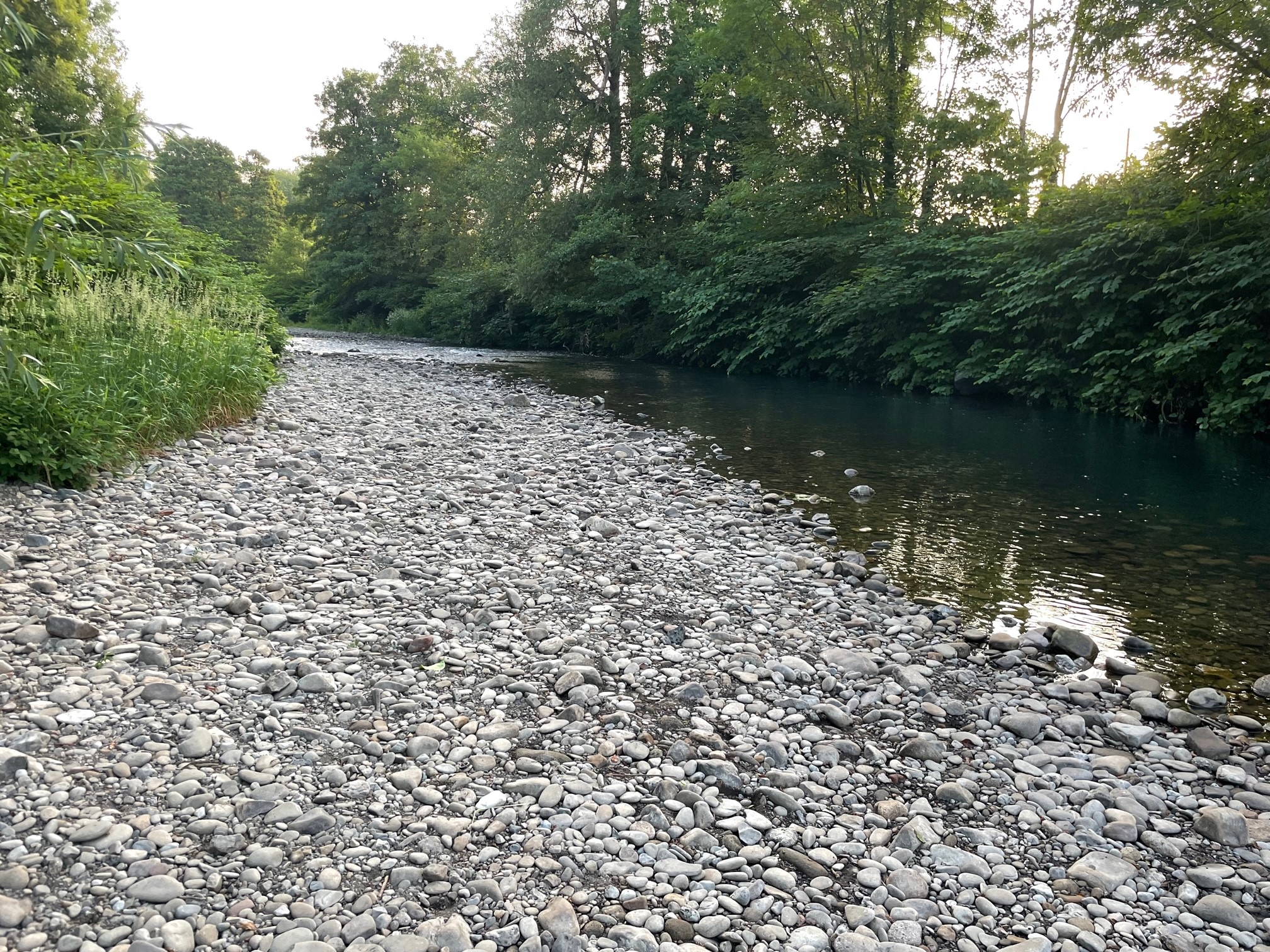 Natural Resources Wales / NRW prioritises water efficiency improvements ...