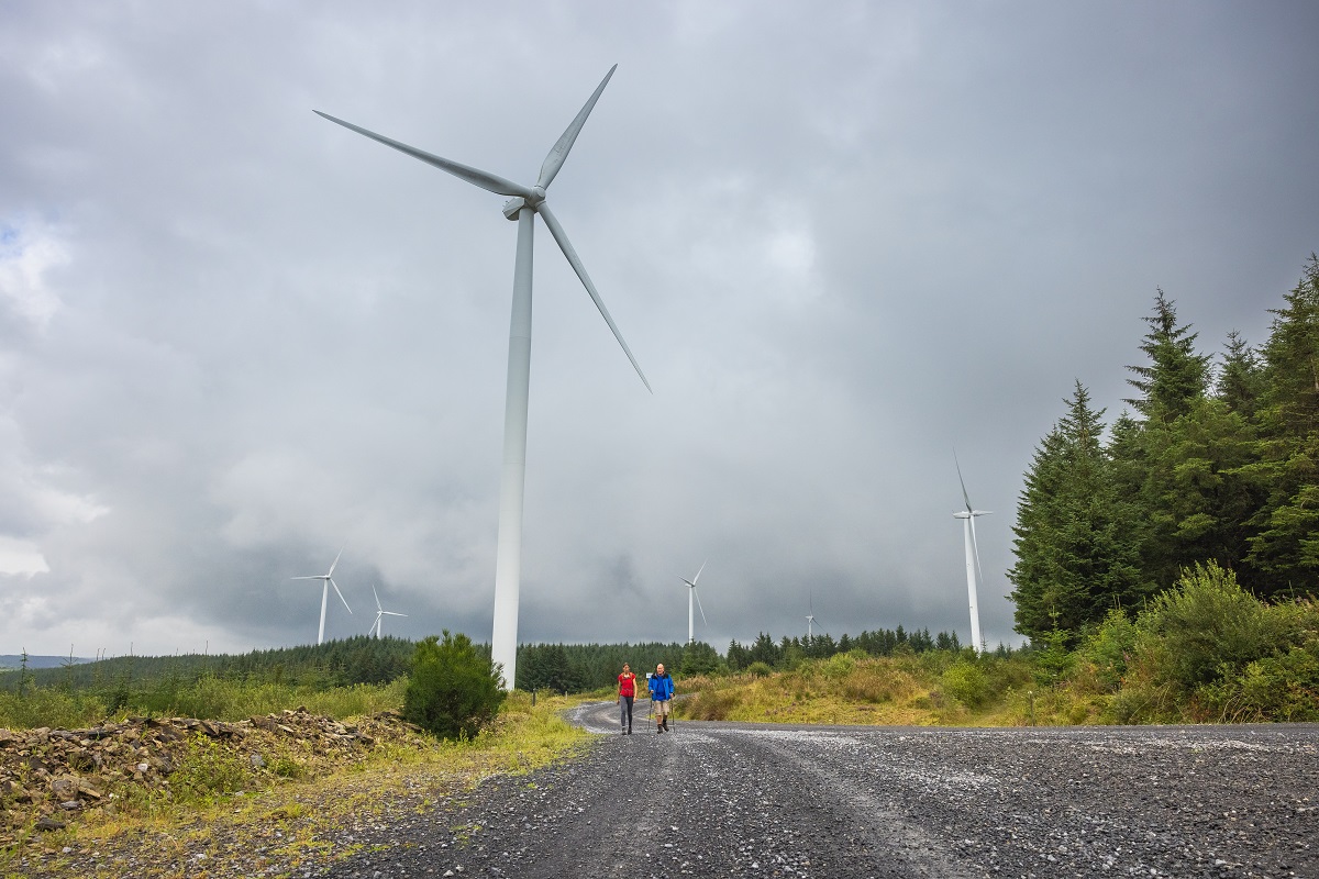 Natural Resources Wales / Brechfa Forest – Keepers, near Carmarthen