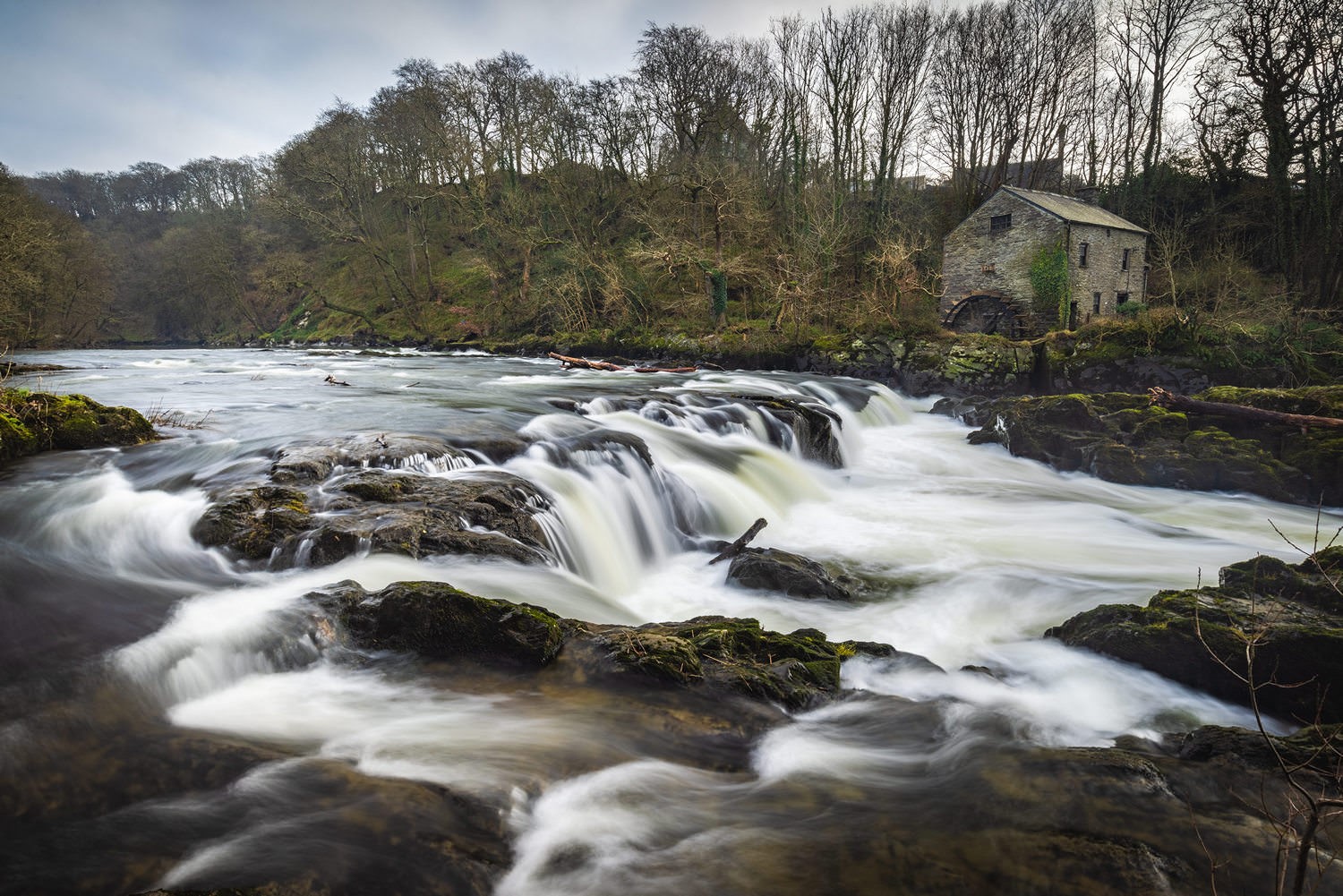 Natural Resources Wales / Safeguarding our Special Area of Conservation ...