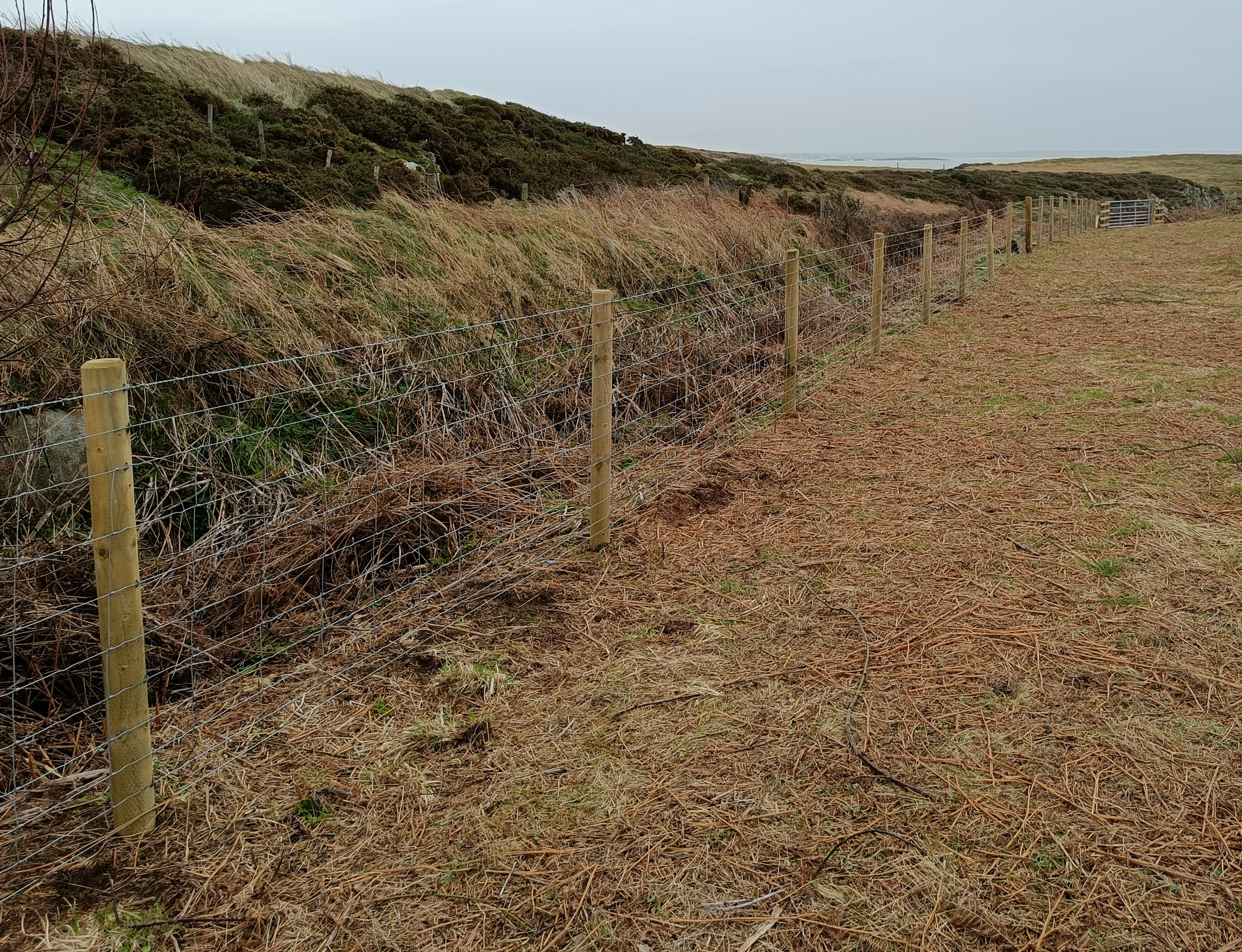 Cyfoeth Naturiol Cymru / Cyllid Rhwydweithiau Natur yn helpu i hybu ...