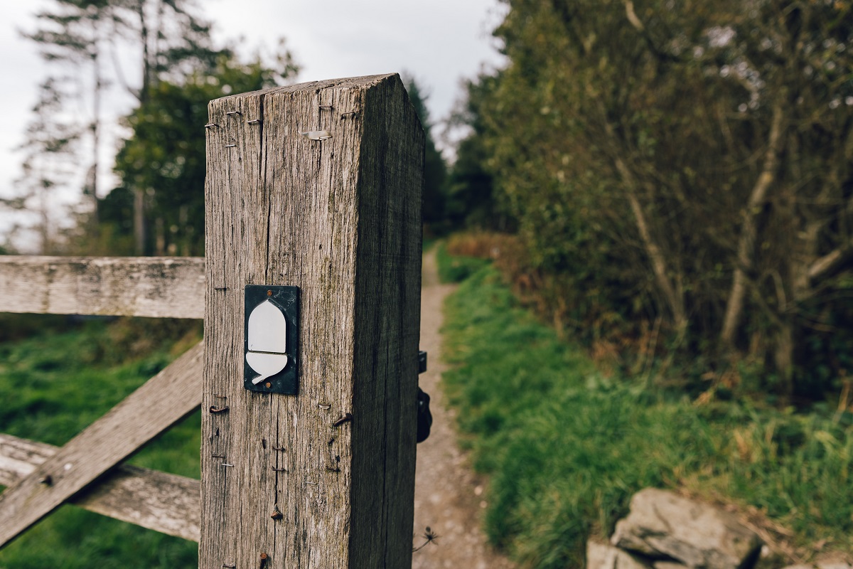 Natural Resources Wales / Days out