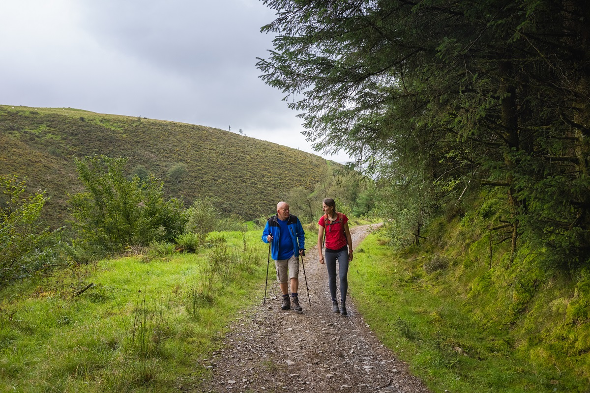 Natural Resources Wales / Brechfa Forest – Tower, near Carmarthen