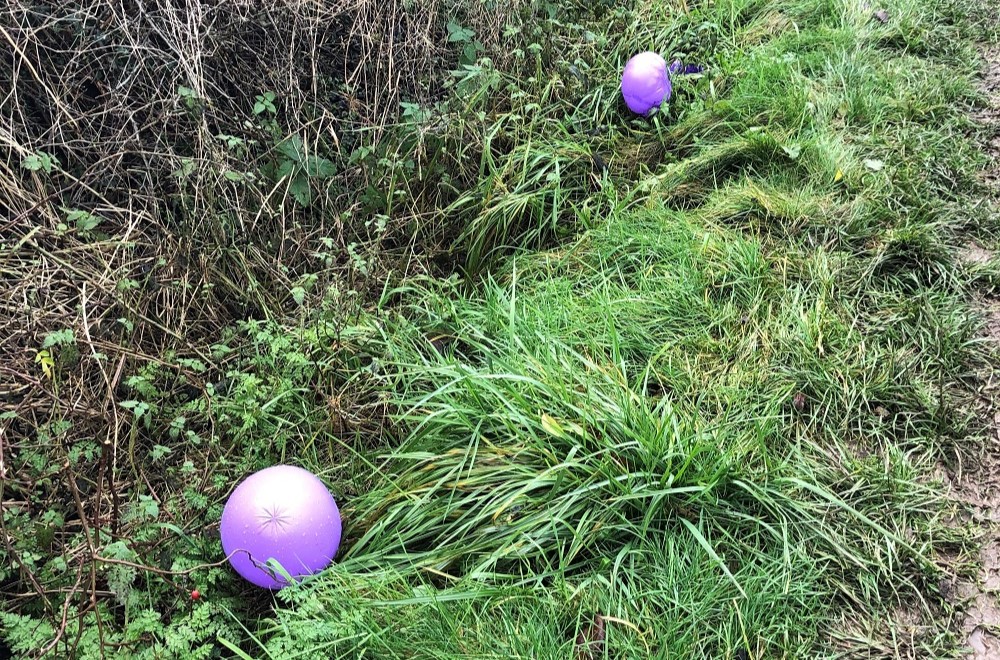 Natural Resources Wales / Balloon releases and the horrific damage they ...