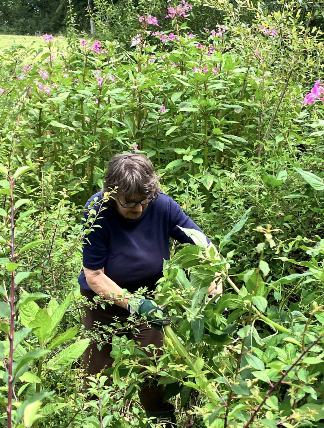 Natural Resources Wales / Call for volunteers to help protect rivers ...