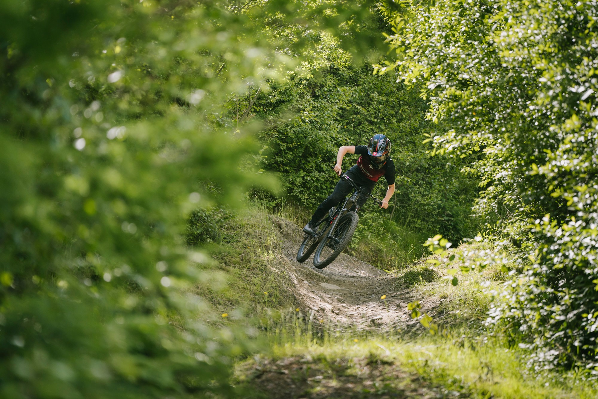 Natural Resources Wales / BikePark Wales and Natural Resources Wales ...