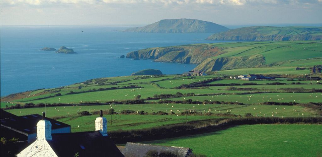 Natural Resources Wales / SoNaRR 2025: Enclosed farmland