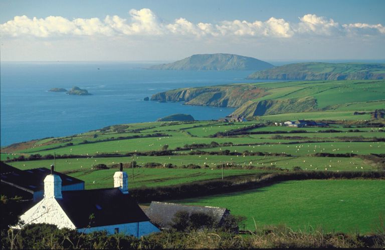 Natural Resources Wales / SoNaRR 2025: Enclosed farmland