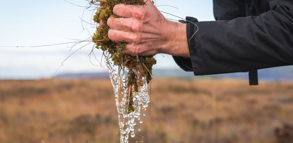Natural Resources Wales / SoNaRR 2025: Soil